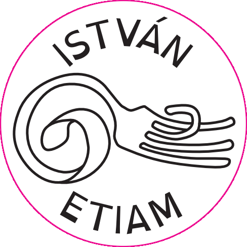 István Etiam | Songwriter, singer, guitarist