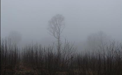 István Etiam | Dave Fudge - István Etiam